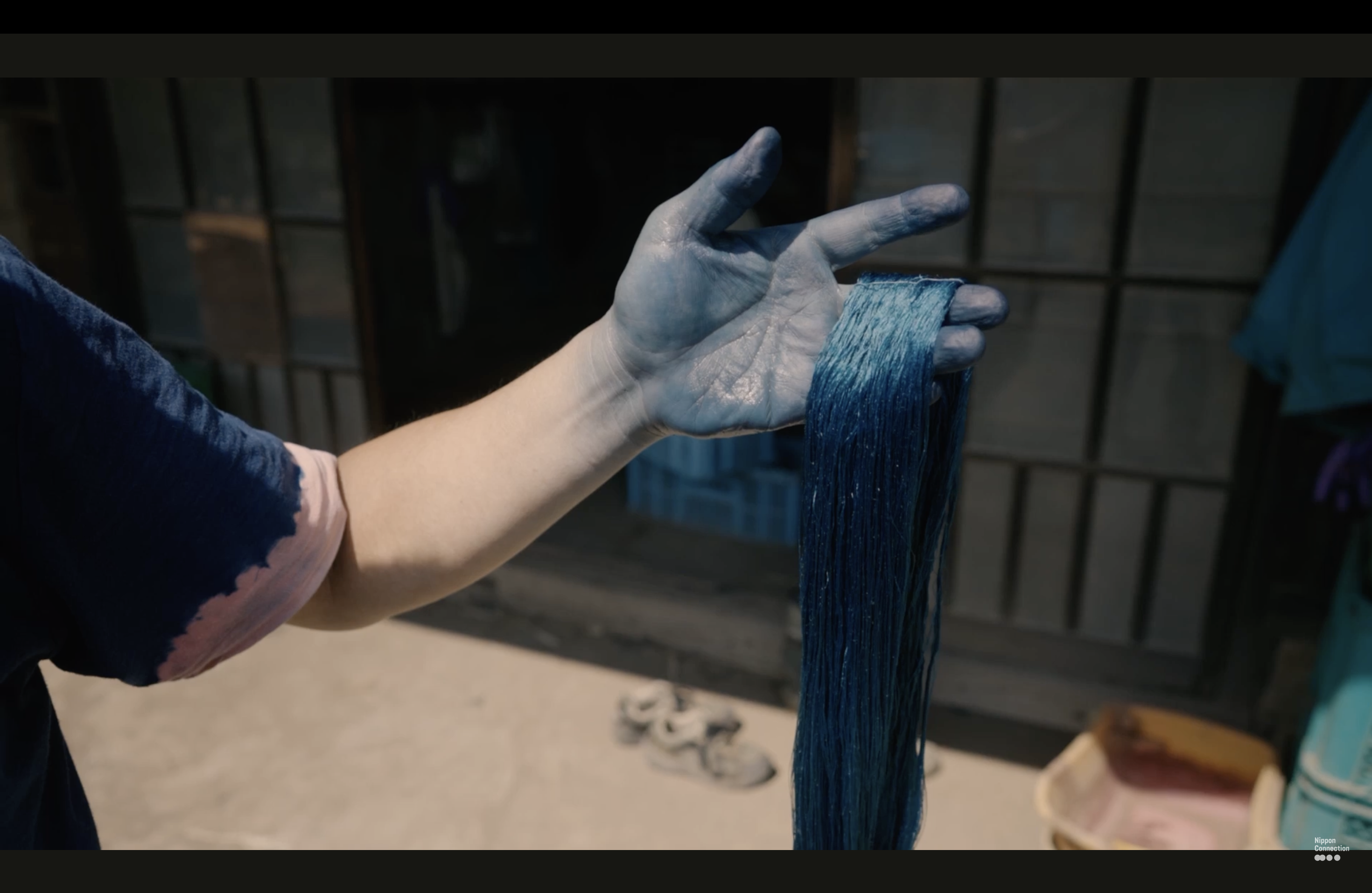 6 Facts About Indigo That Might Surprise You