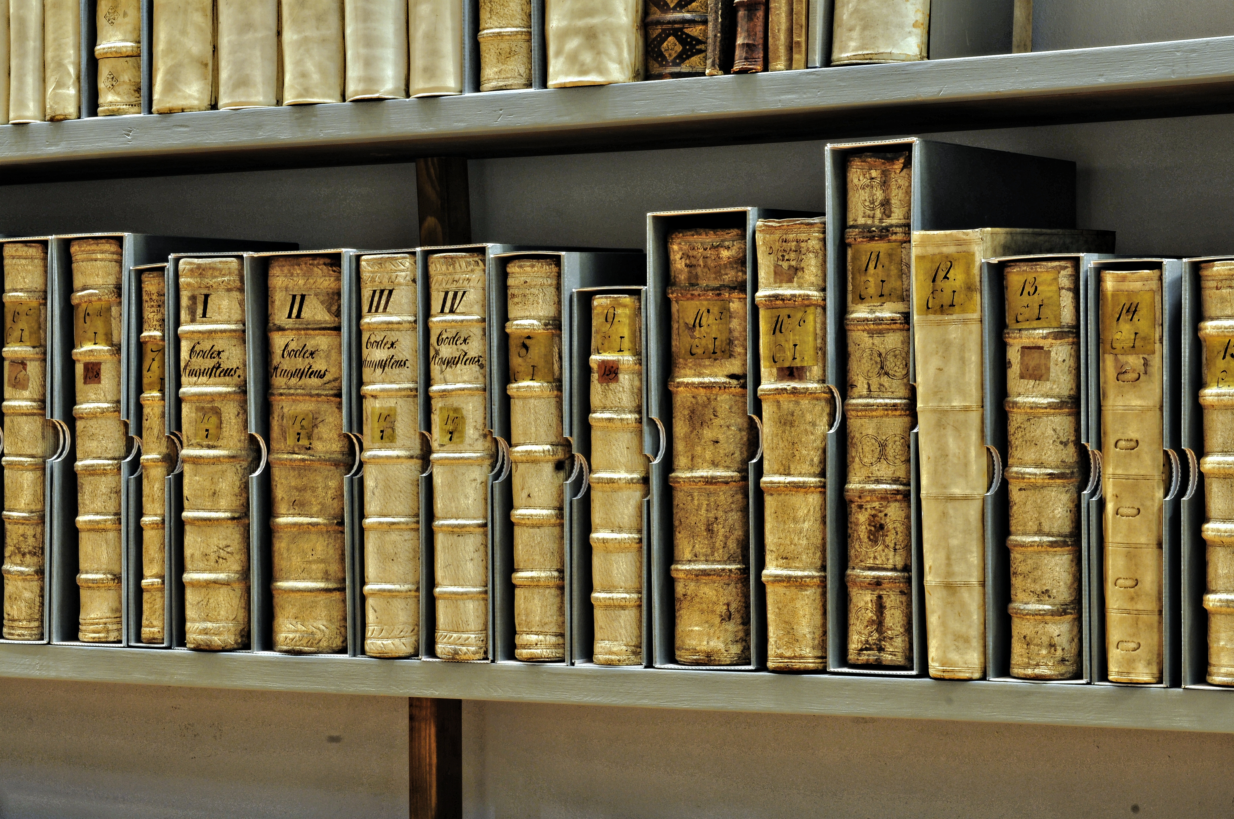 Ever Wonder… What’s Inside the Vatican’s Hidden Archive?
