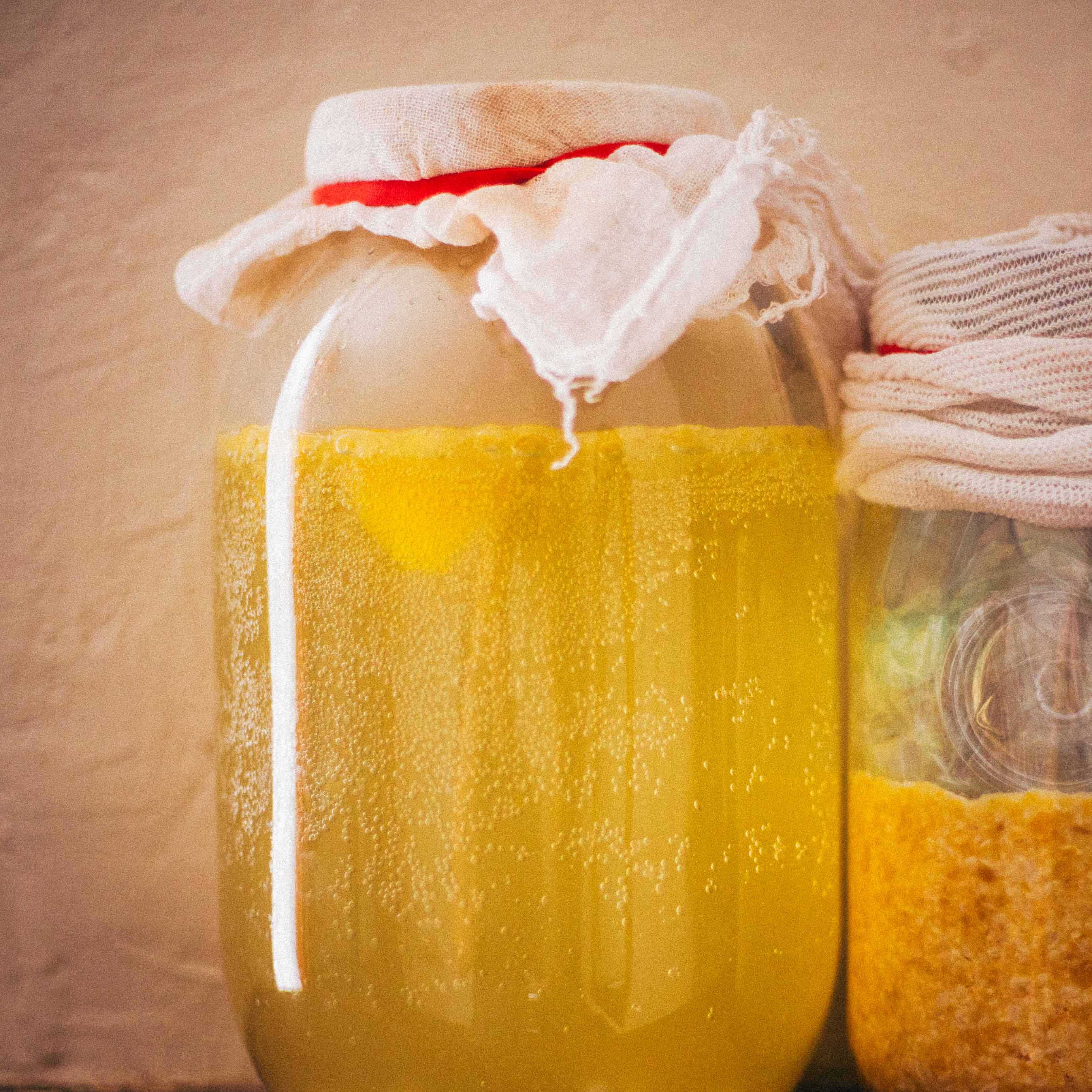 Wild Fermented Soda | MASTERCLASS - by Sam Cooper