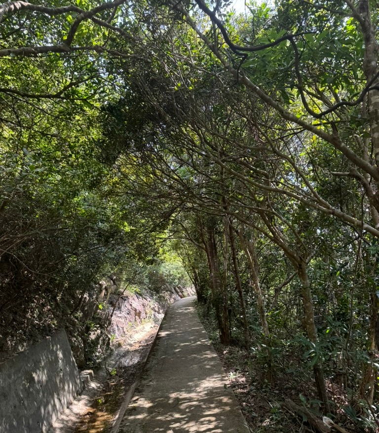 the case for a long walk - postcards by elle