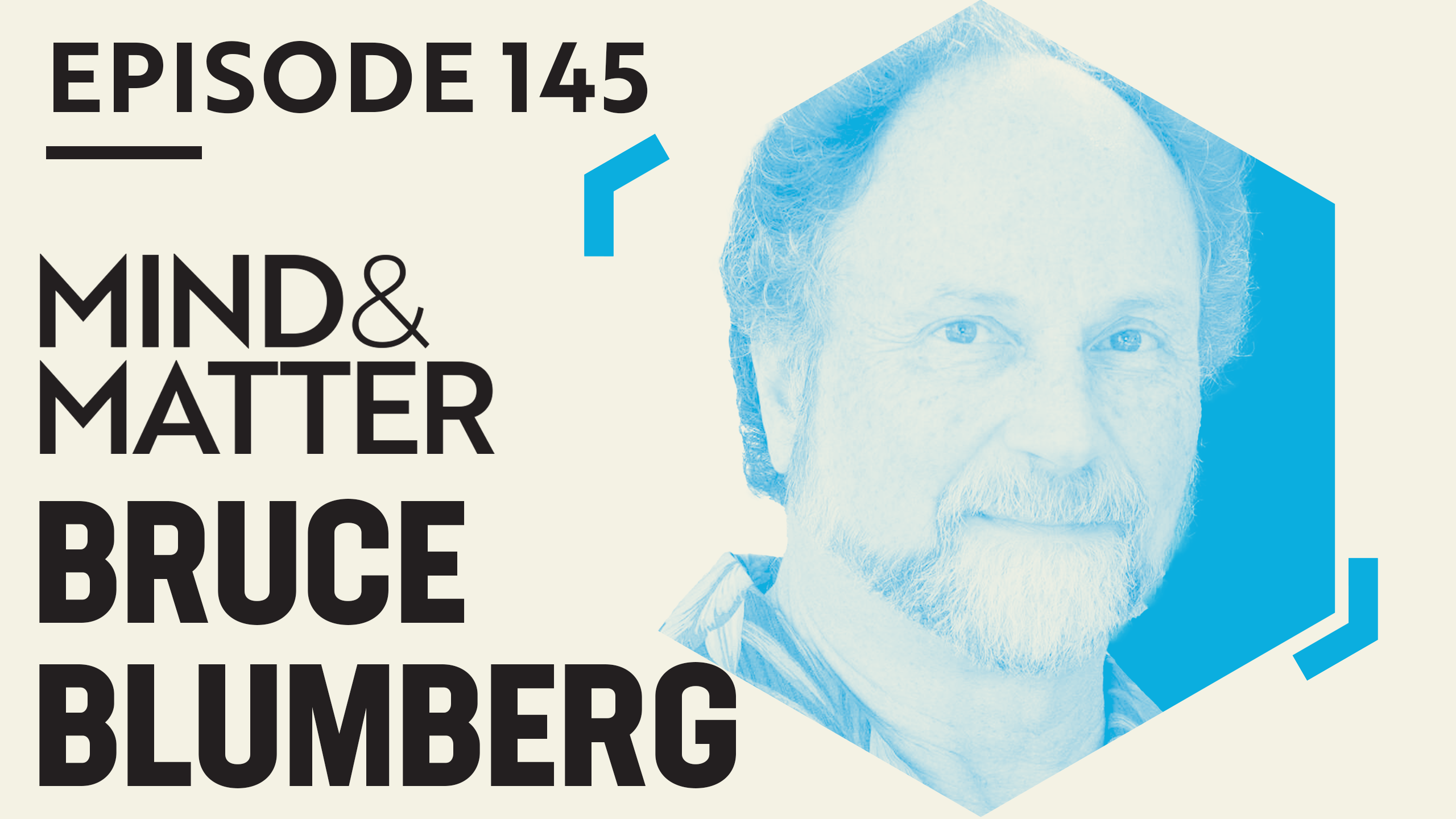 Epigenetics, Hormones, Endocrine Disruptors, Microplastics ...