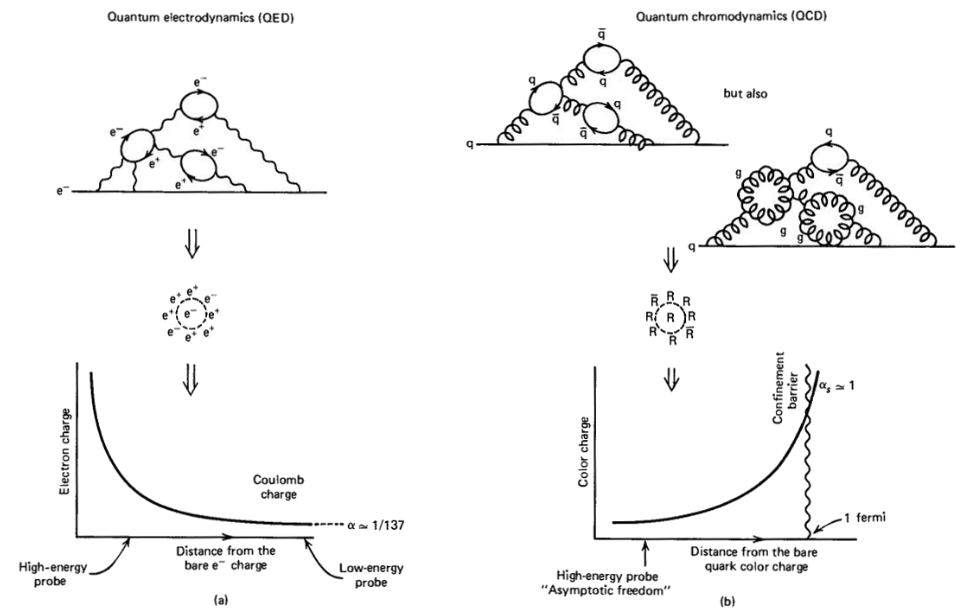 Quantum Chromodynamics Explained: Quarks, Gluons, and the Strong Force
