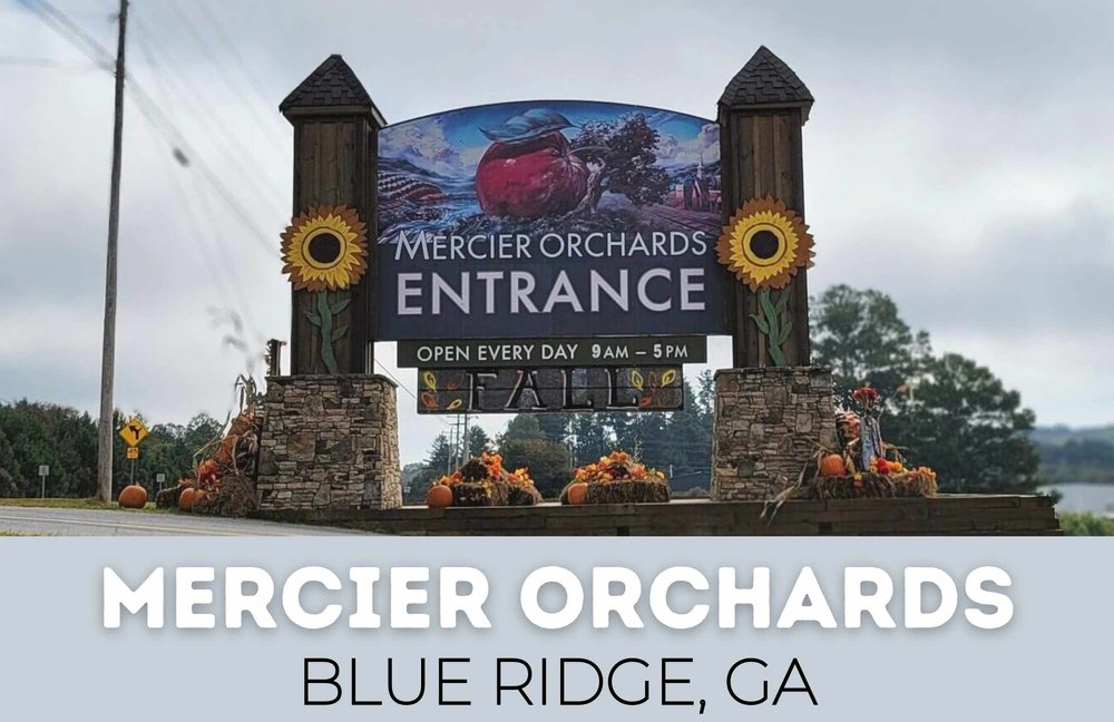 Mercier Orchards: Fun Things to Do in North Georgia