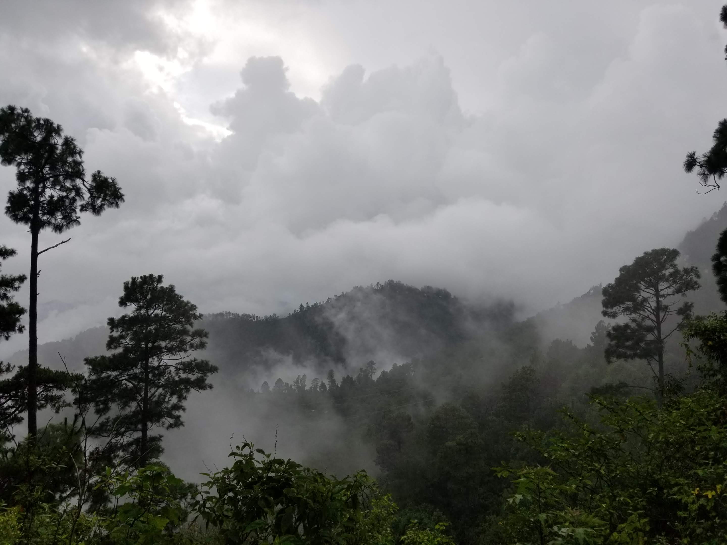 Mexican Forest Spirits: The Chaneque, Duende and Alux