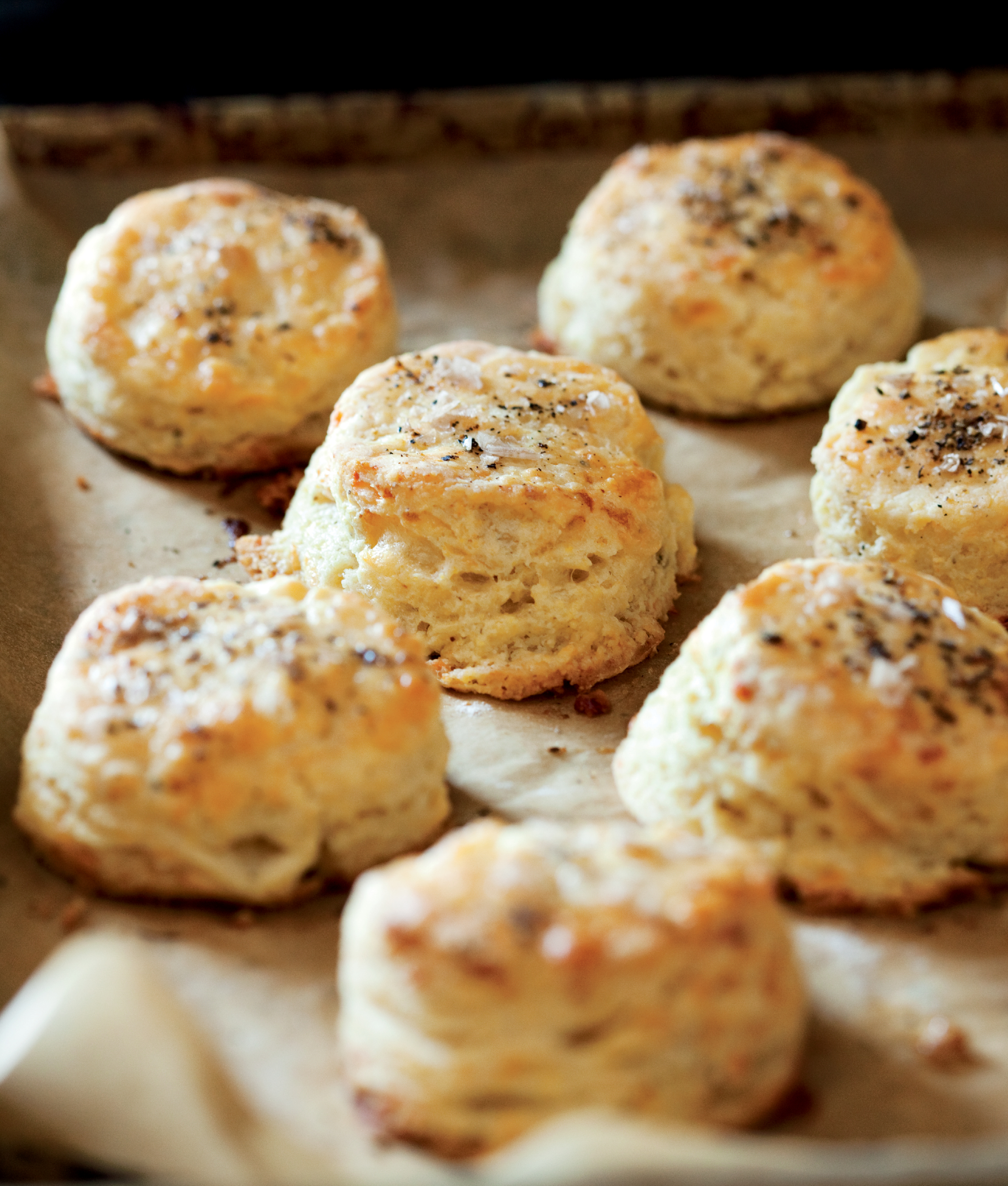 CHEDDAR CORMEAL BISCUITS - EDIBLE LIVING by Sarah Copeland