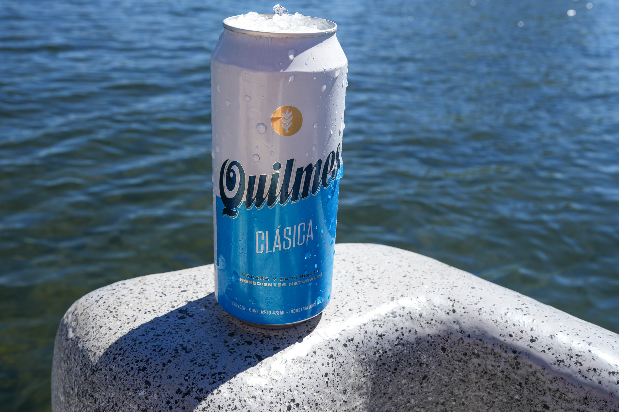 Patagonia on a Summer's Day - by Michael Williams