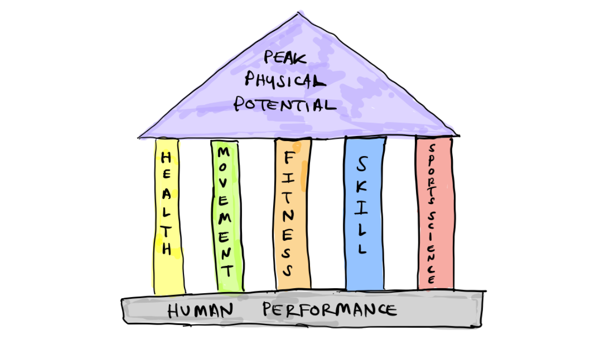 The 5 Pillars of Human Performance: A Practical Framework for Clinicians