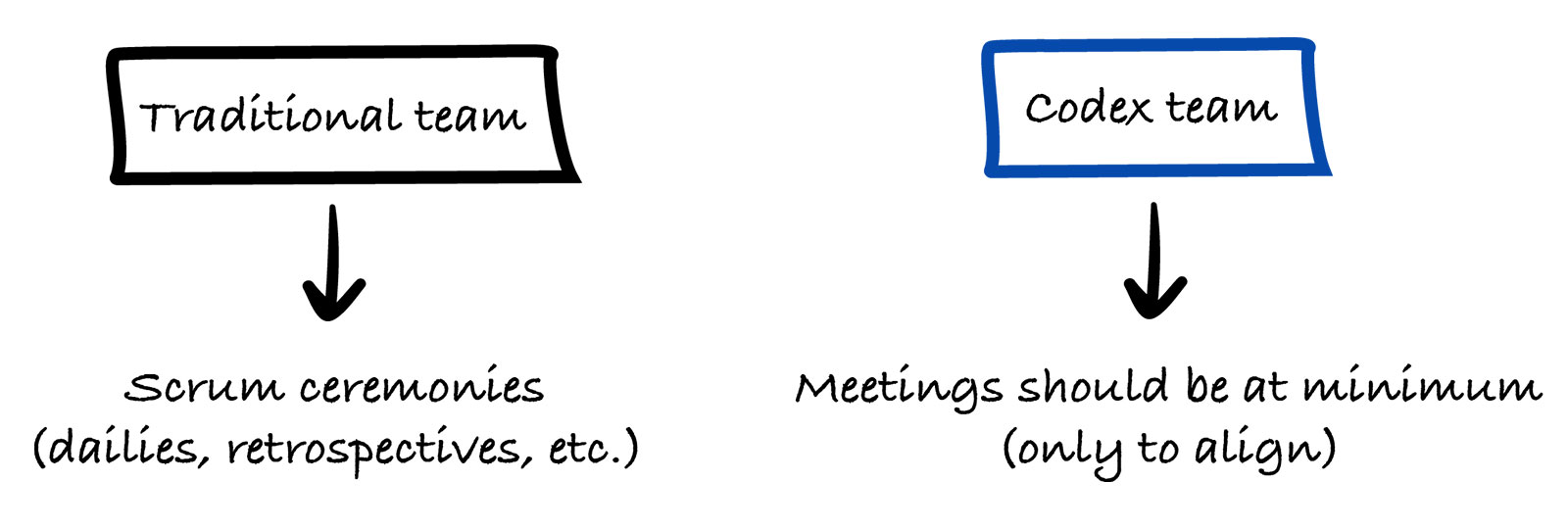 How OpenAI's Codex Team Works and Leverages AI