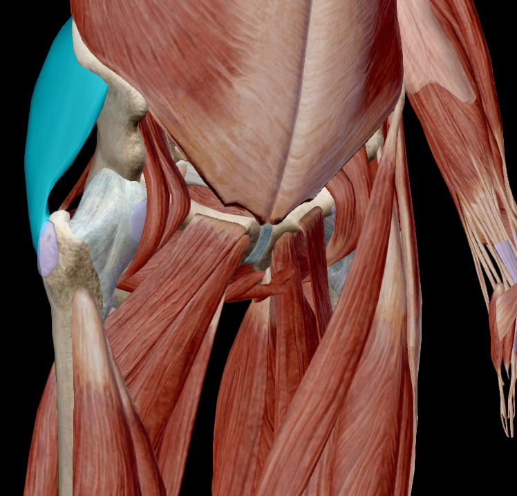 La Bursite de Hanche : Causes, Symptômes et Traitements