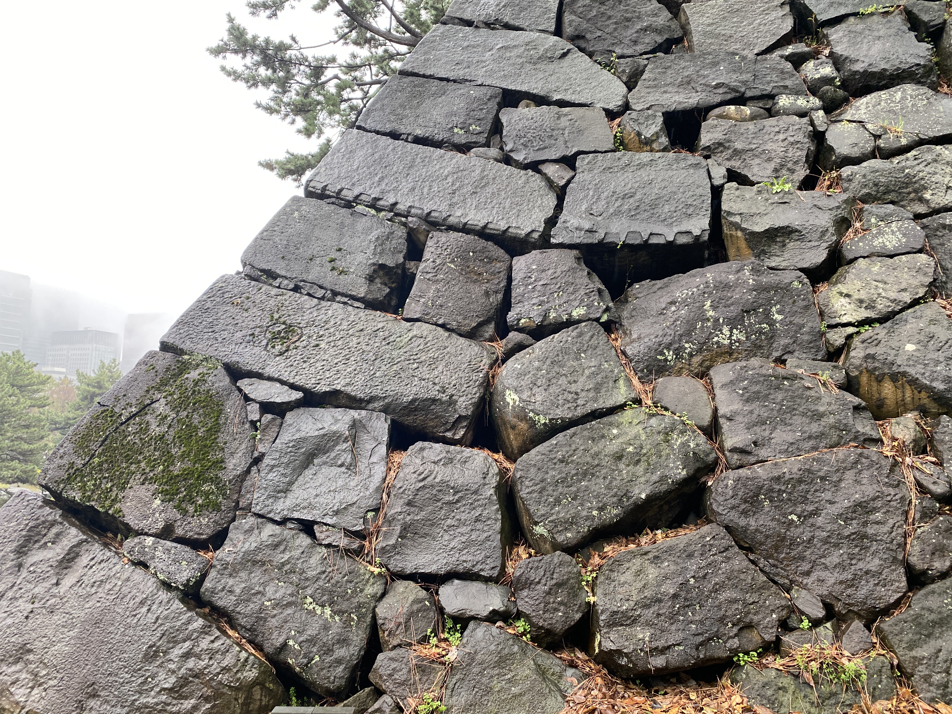 NEWS: Hiji Castle’s Samurai Sacrifice