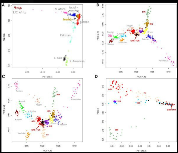 DNA Evidence Indicates Both Jews and Palestinians in Ancient Territories