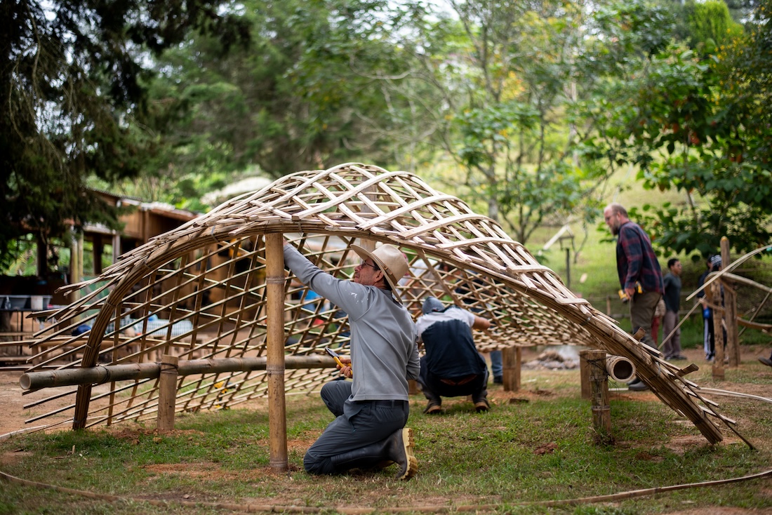 #120 Estructuras orgánicas de bambú - by Igma Pacheco Rivas