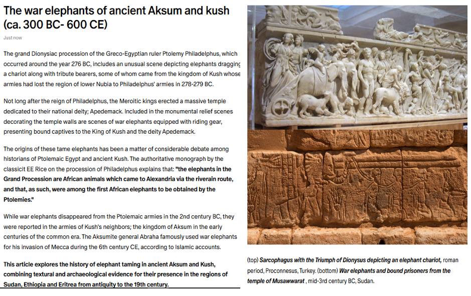 Taming and domesticating the wild: the War-Elephants of ancient Aksum ...