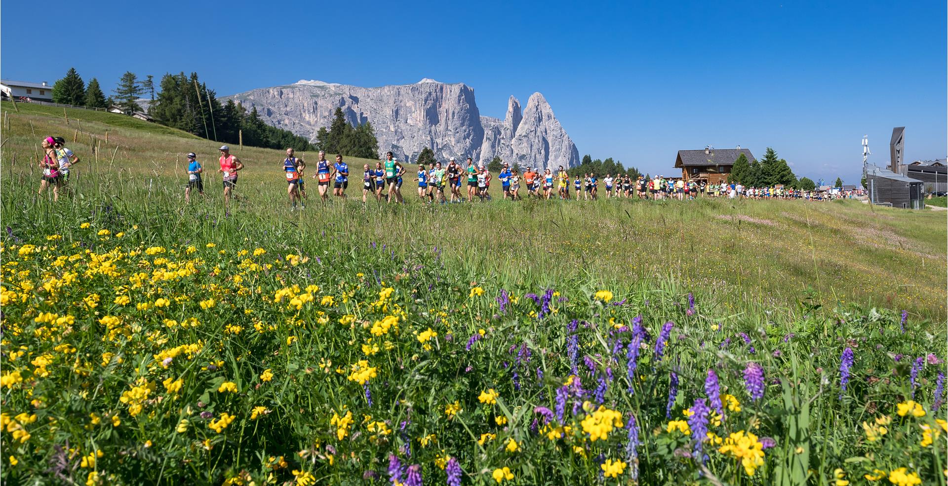 19 European Half Marathons You'll Love Running