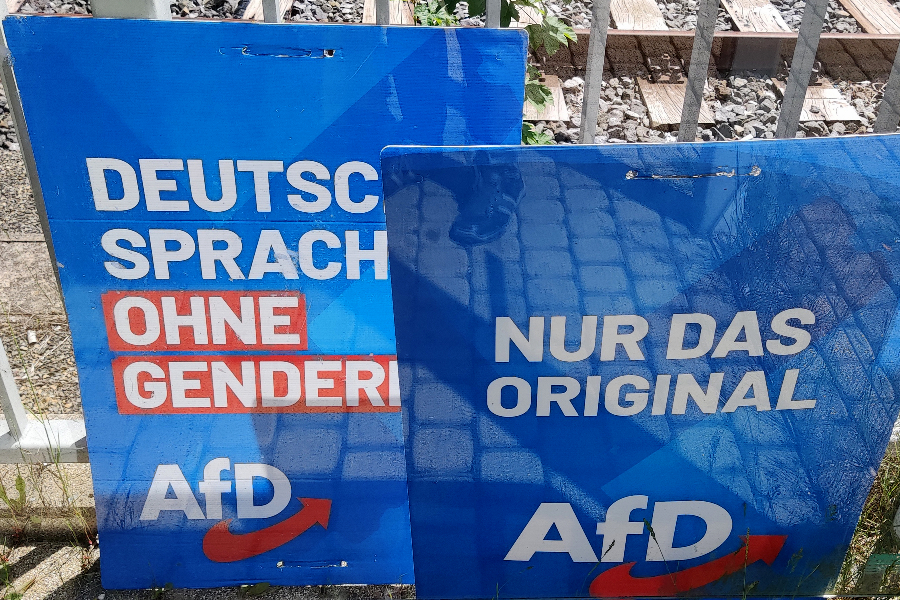 German bishops v. the AfD: Who’s winning? - by Luke Coppen