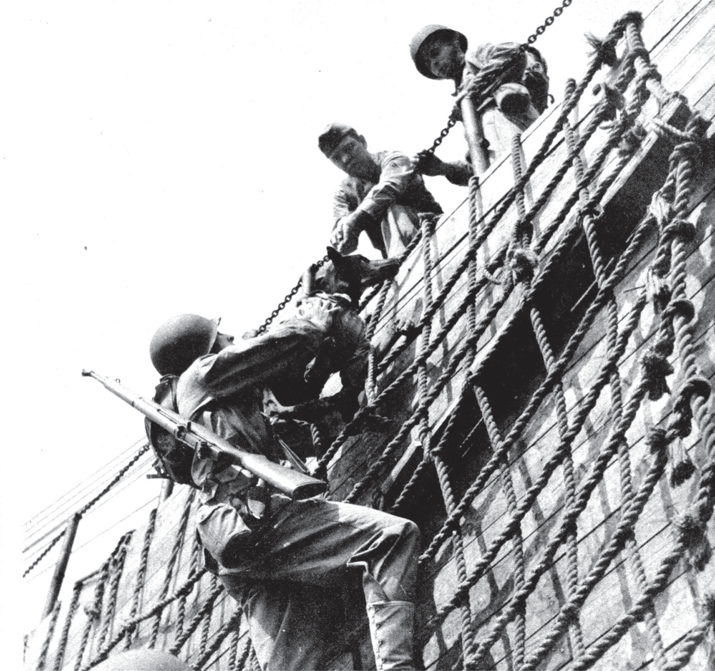 'Military Dogs of World War II' - by Martin Cherrett