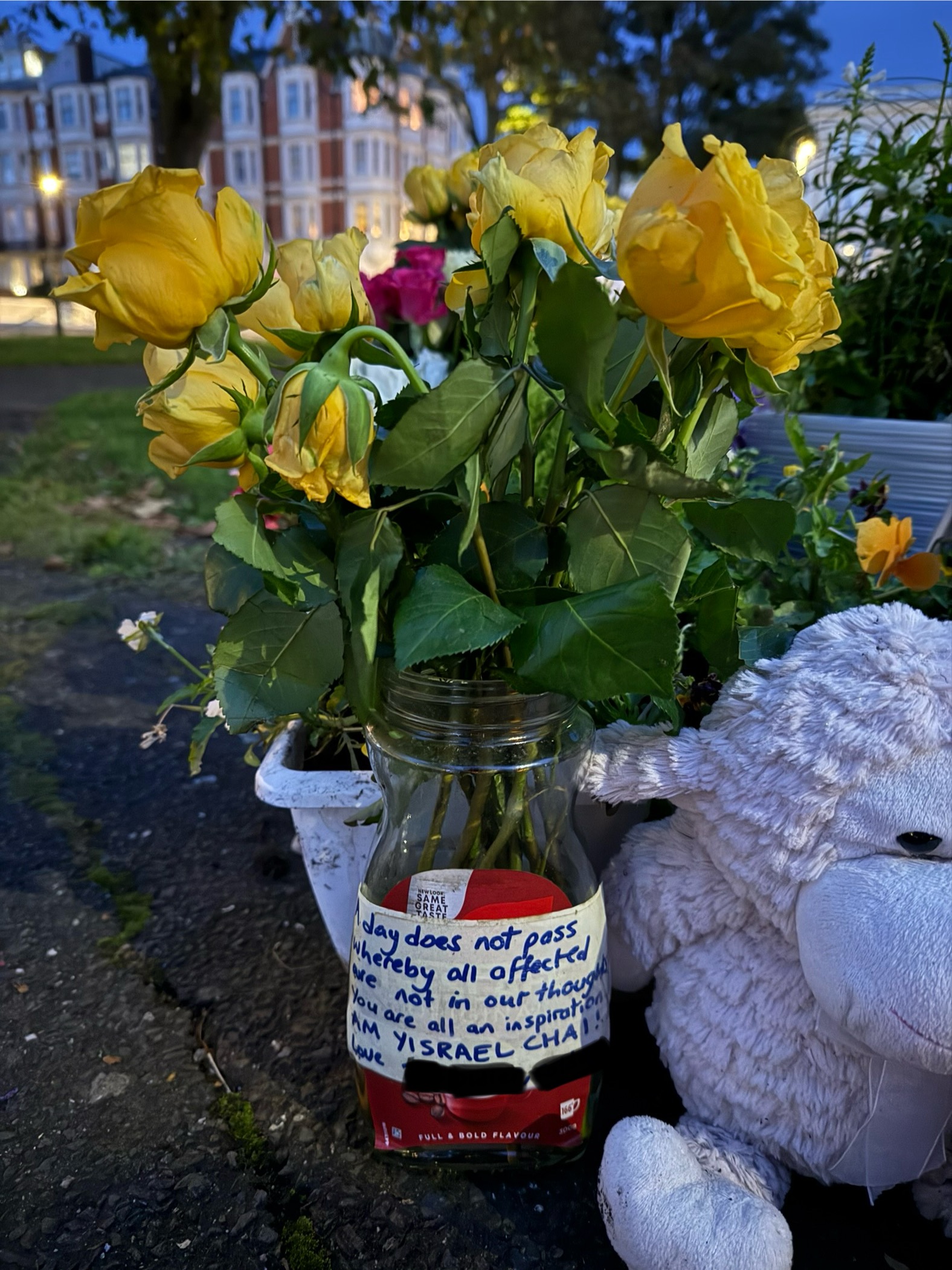 A year on - by Heidi Bachram - Heidi’s Bachram’s Substack