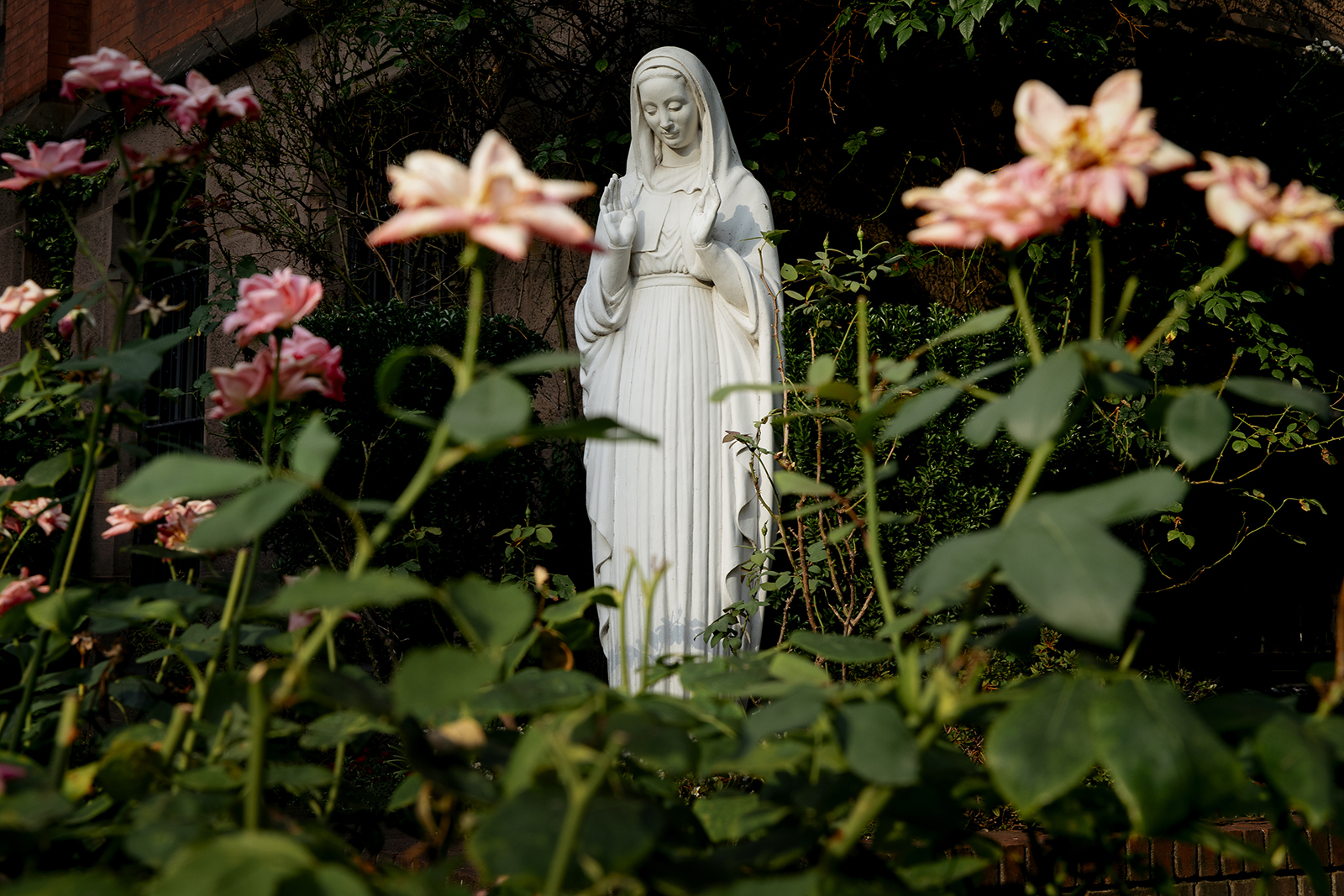 The Young Catholic Women Bringing Back Veils