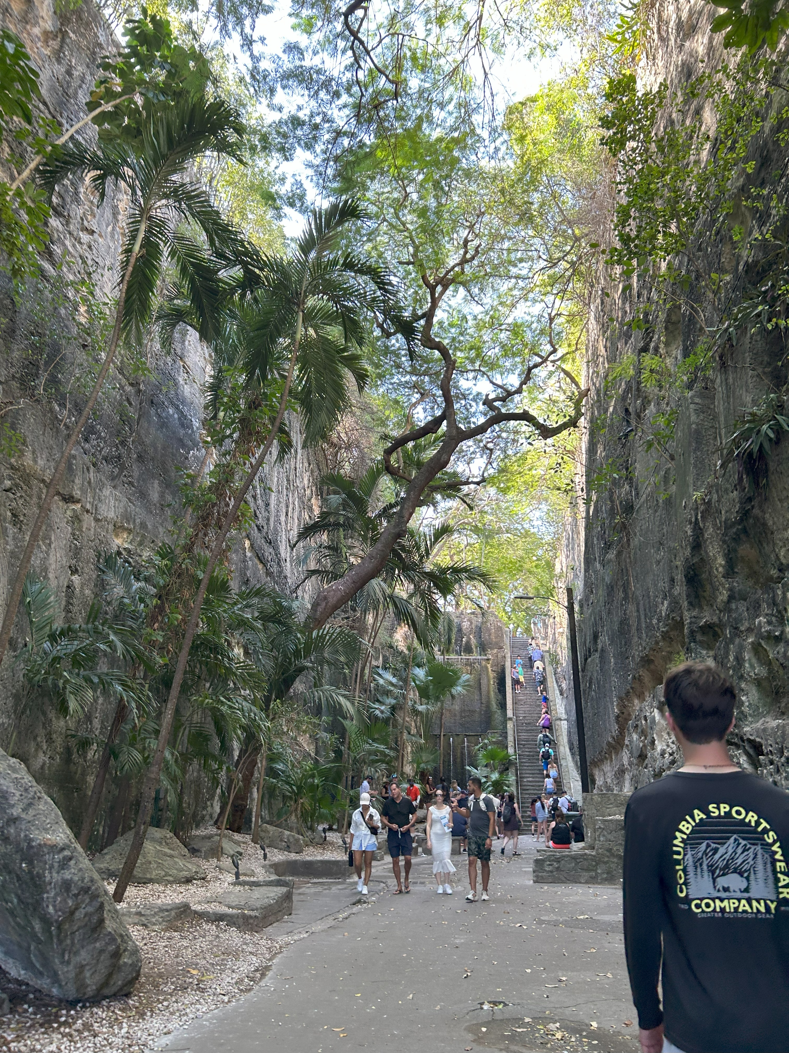 The Queen’s Staircase: A Walk Through Nassau’s History & What It Takes ...
