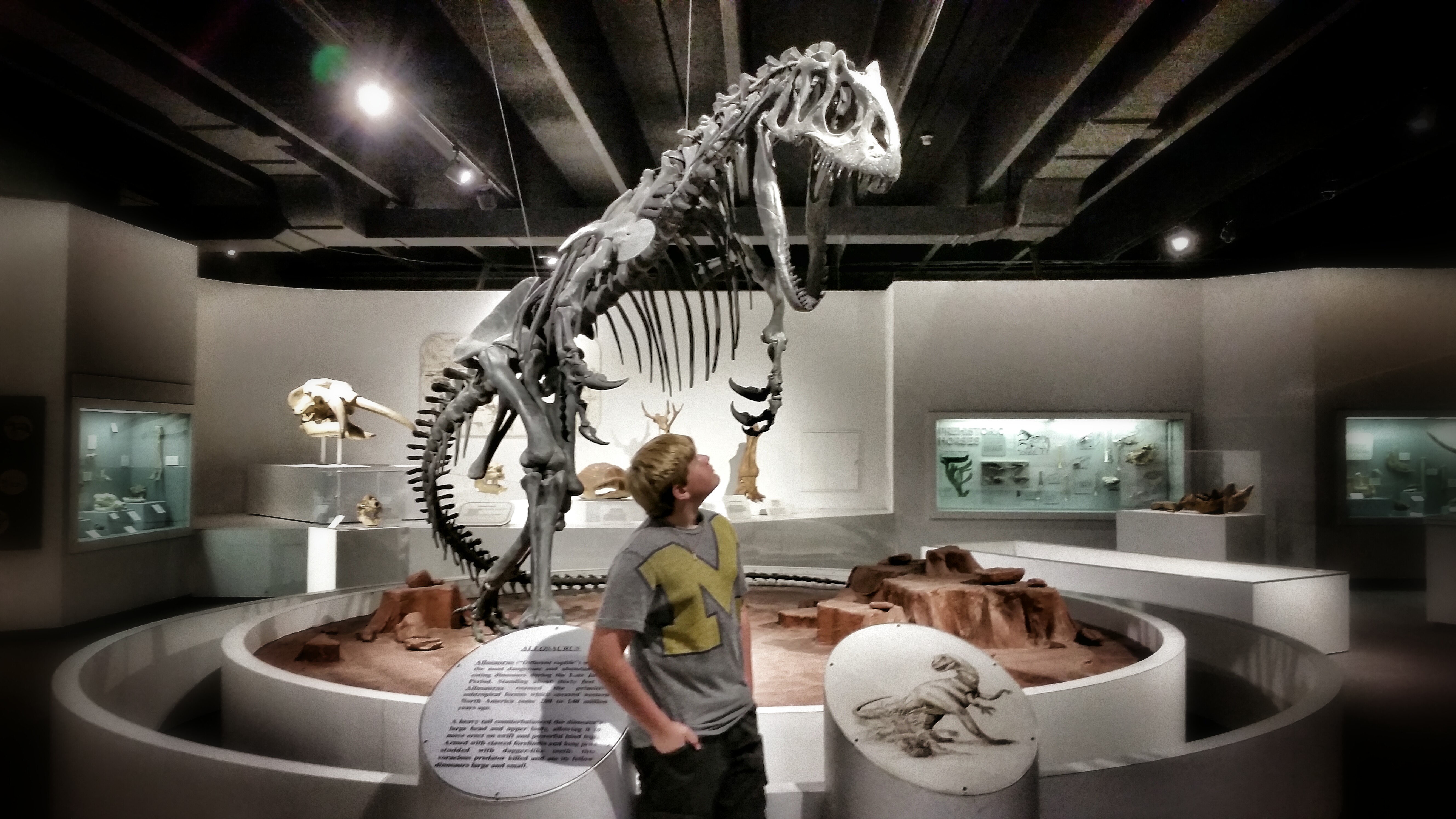 Dinosaurs & the Bible - Dr. Aaron Judkins Substack