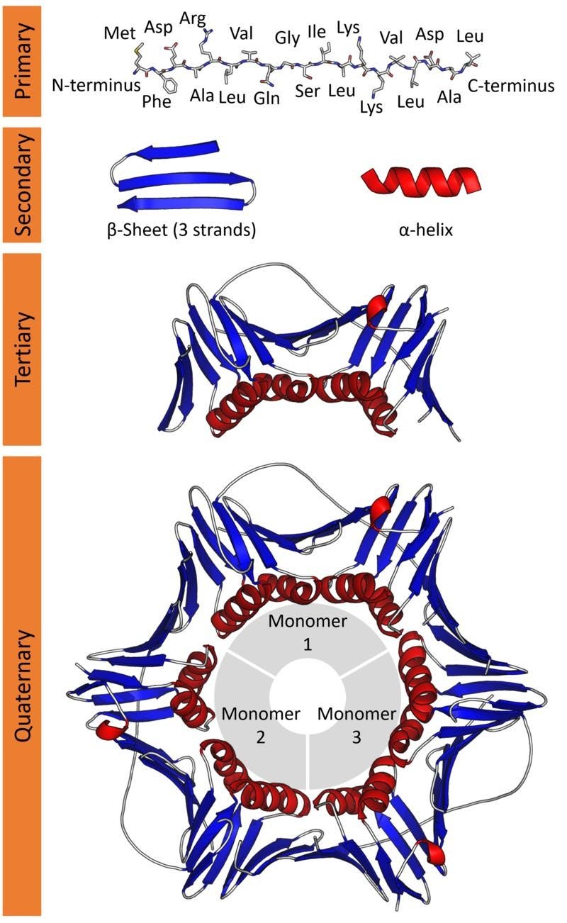 Your First Hands-On Lesson On Using AlphaFold