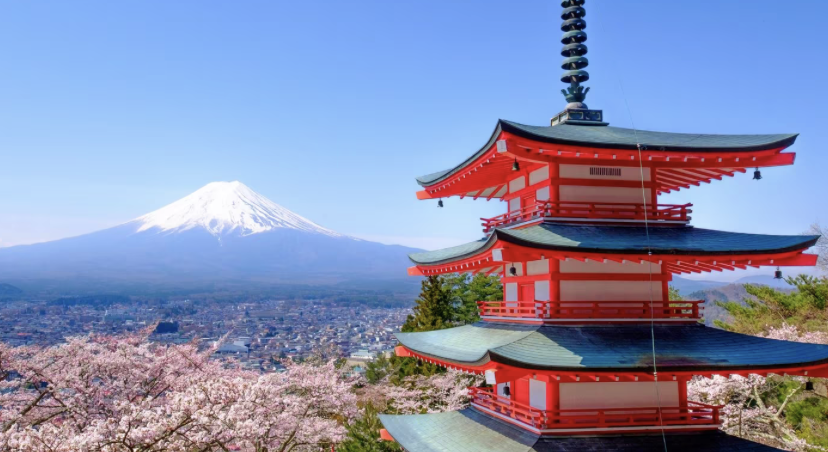 Experience Japan’s Longevity Secret: Ningen Dock Health Screenings Now ...