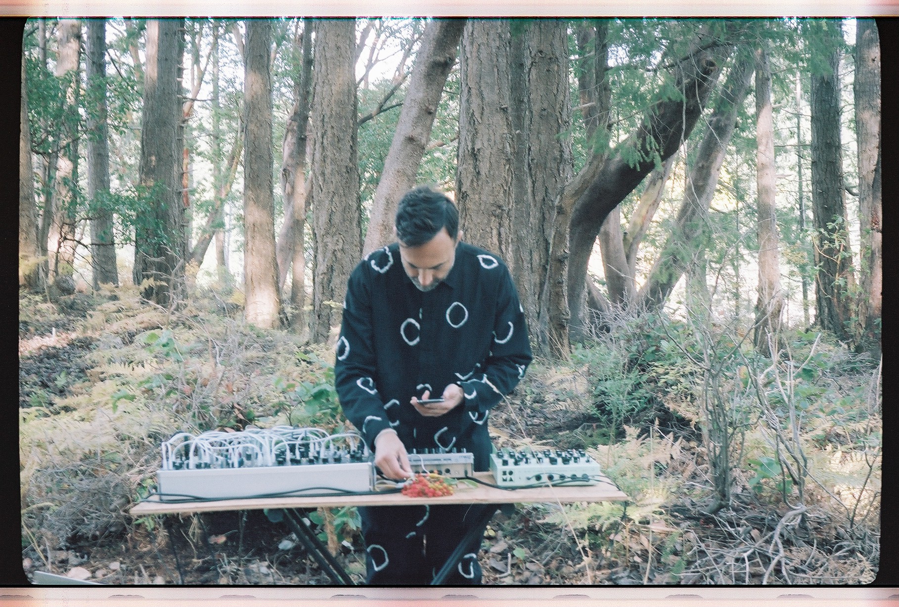A Field Guide to Making Plant and Mushroom Music