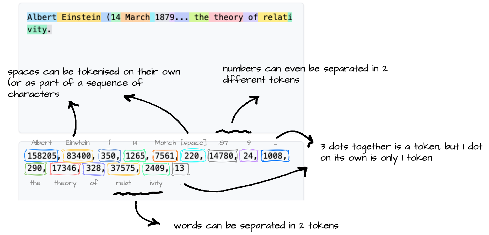 How LLMs Learn: From Tokens to Training
