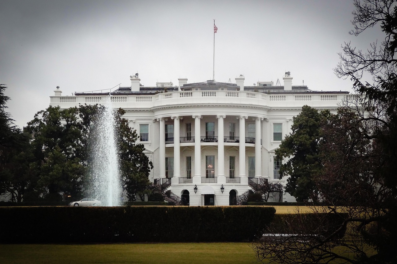 Year 2000: Fun Facts, Trivia, and Historical Events