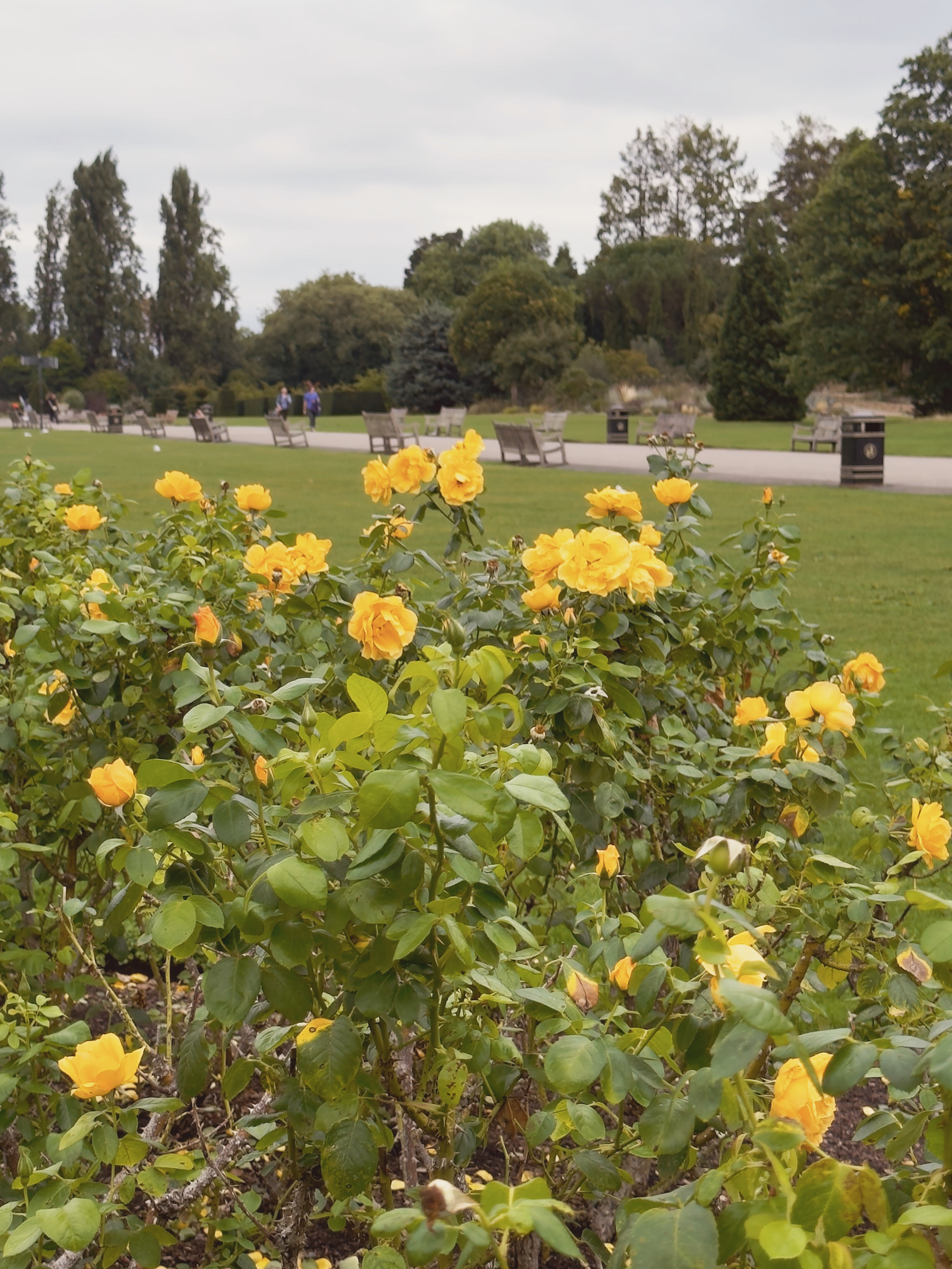 London Recommendations /002 - by Roséline - Hyperreality