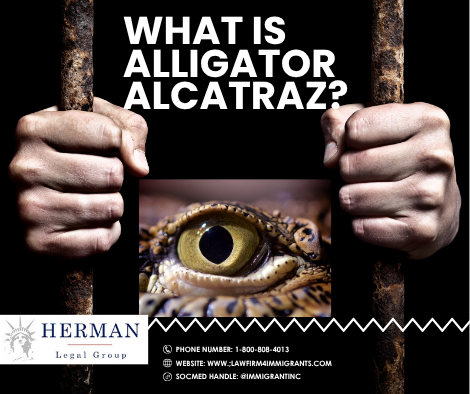 Florida's 'Alligator Alcatraz': A Step Towards Modern-Day Aushwitz With ...