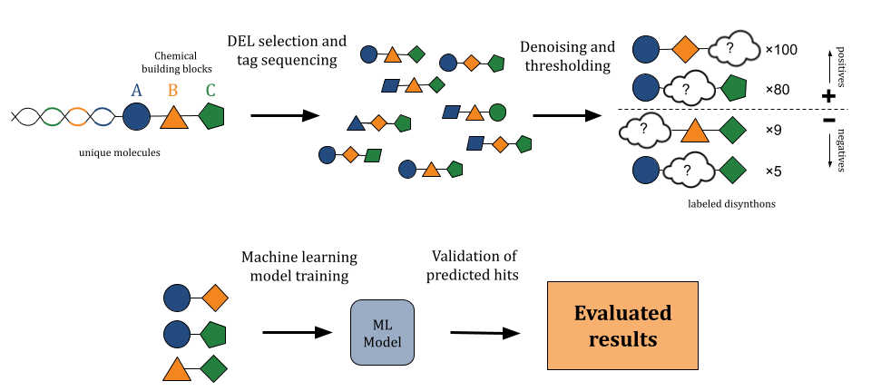 No-Code DEL-ML (DNA-Encoded Library Machine Learning) Analysis with Prithvi