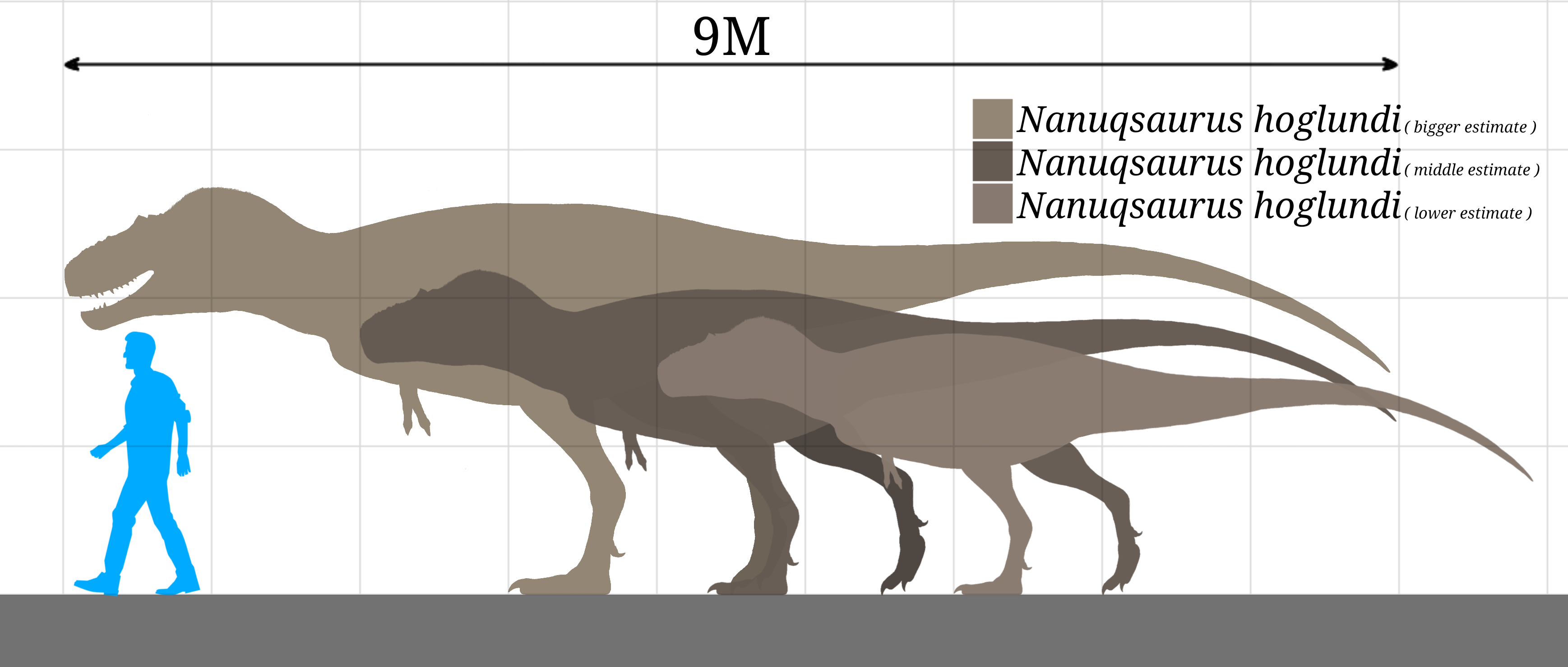 The Arctic Tyrant: Nanuqsaurus of the North Slope