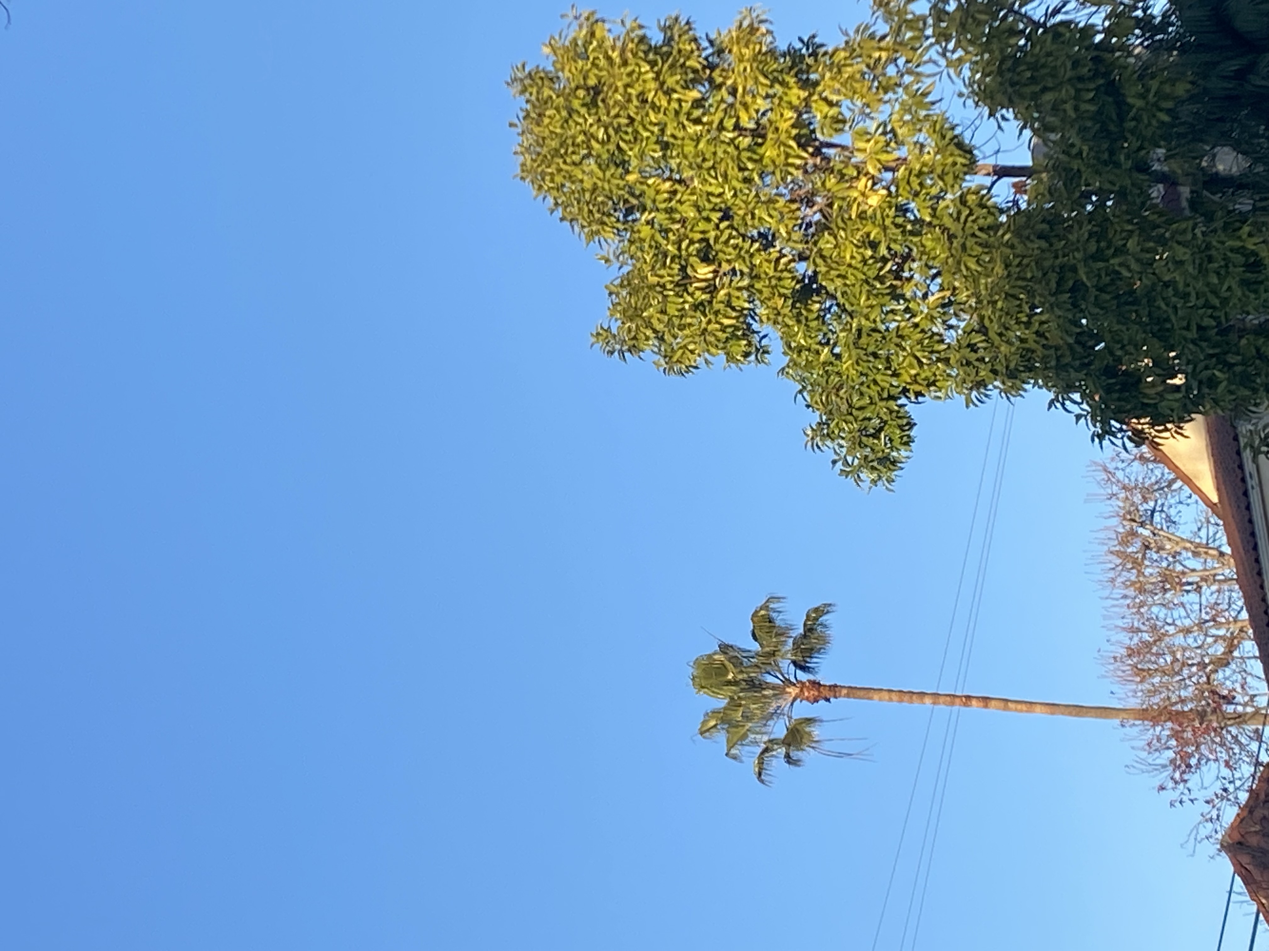 Elizabeth Aquino | Substack