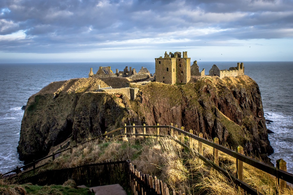 Highland Coo Explained: The Origins and Charm of Scotland’s Iconic Cattle!