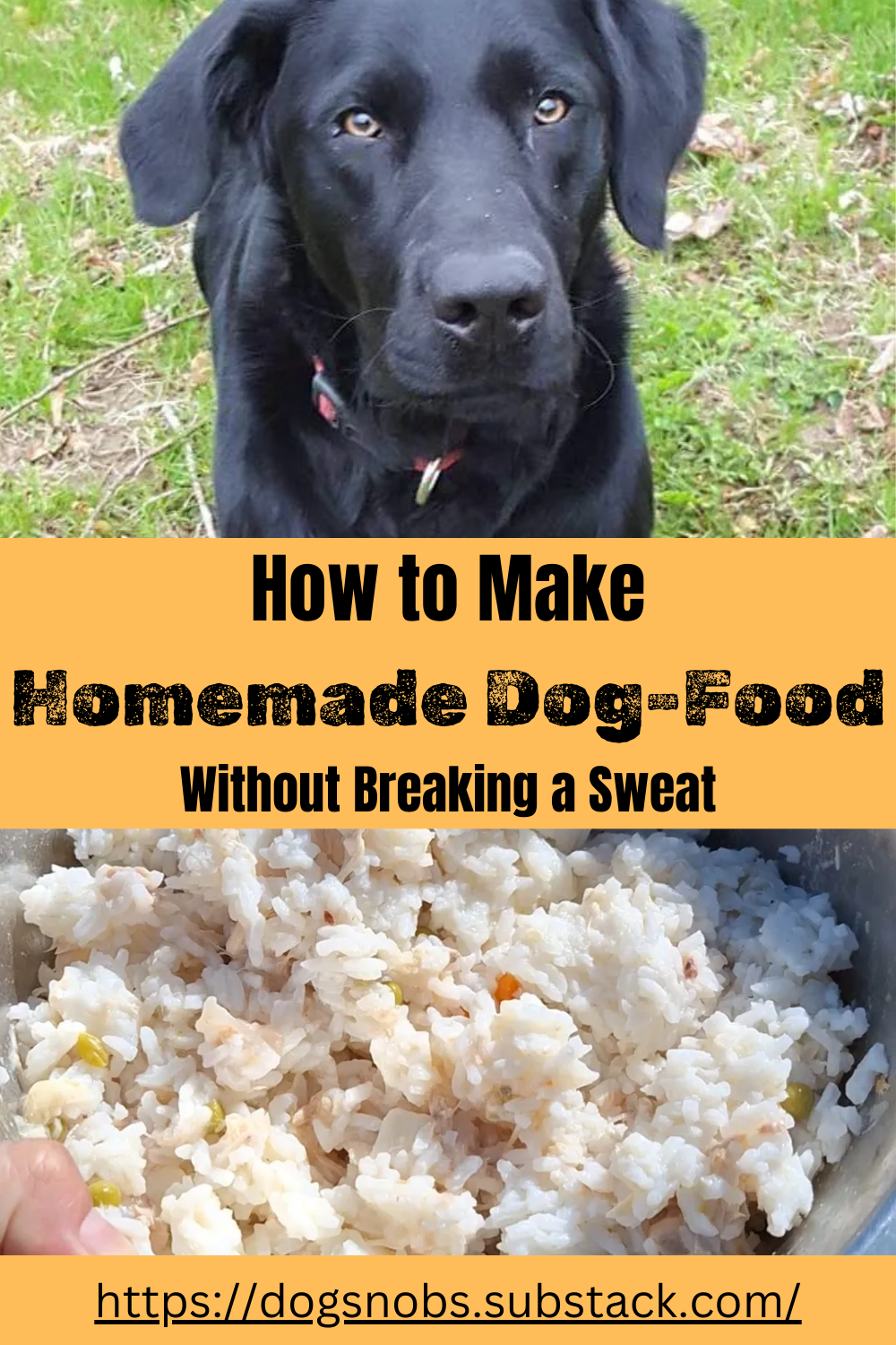 How To Make Homemade Dog-Food Without Even Breaking A Sweat
