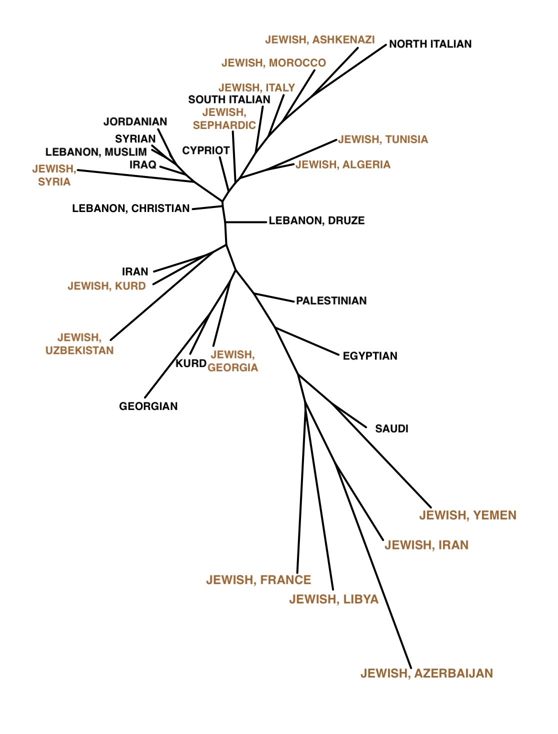 More than kin, less than kind: Jews and Palestinians as Canaanite cousins