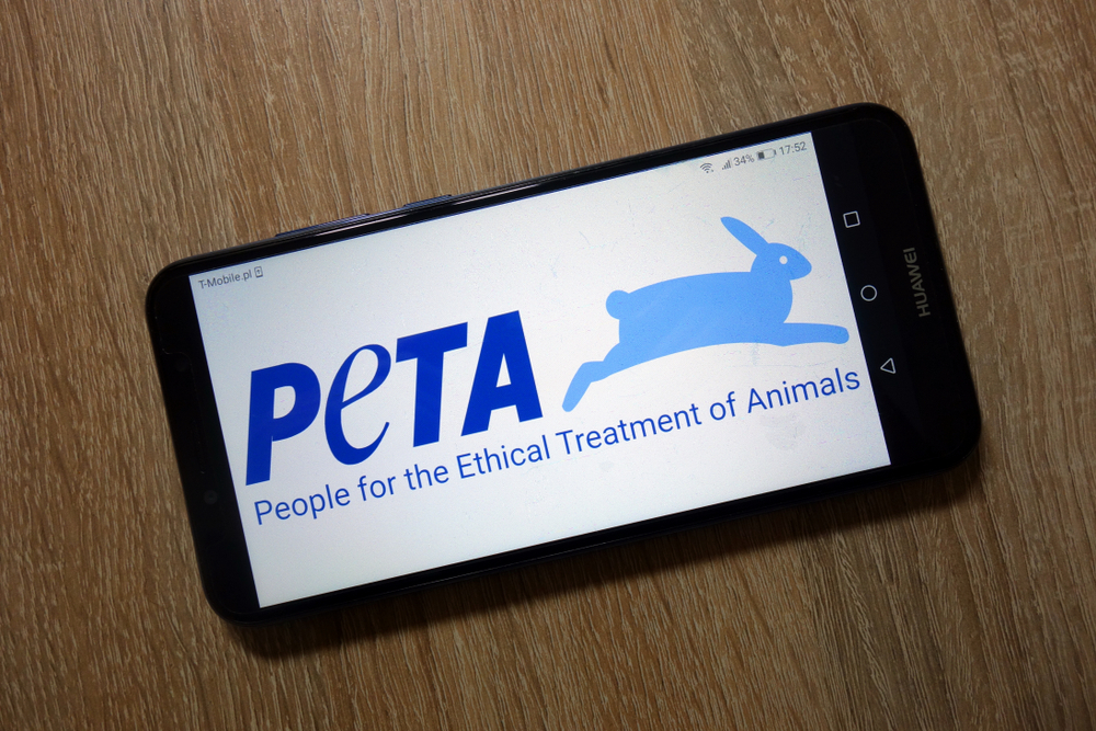 PETA Slams Kim K’s Puppy Gifts - Conservative Insiders