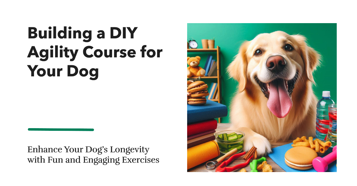 Building a DIY Agility Course for Your Dog - by Akshay Mule