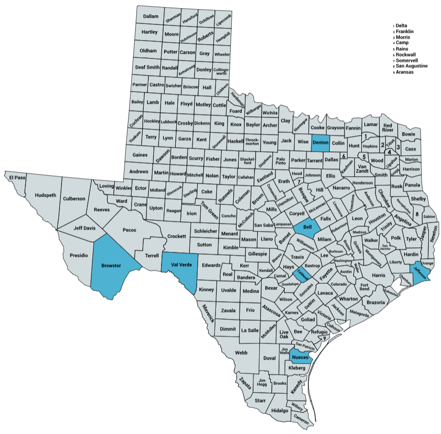 Which Texas Counties Should We Expect To Be Blue In November?