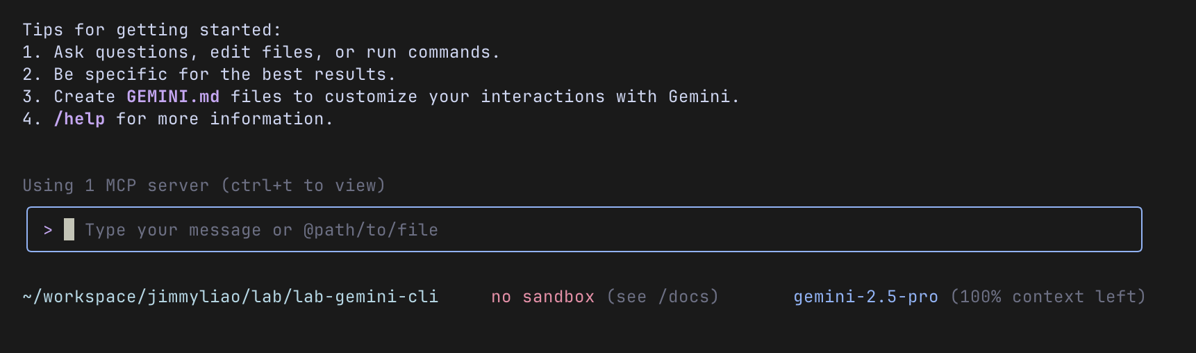 [Gemini-CLI] 快速上手,解決 429 Too Many Requests