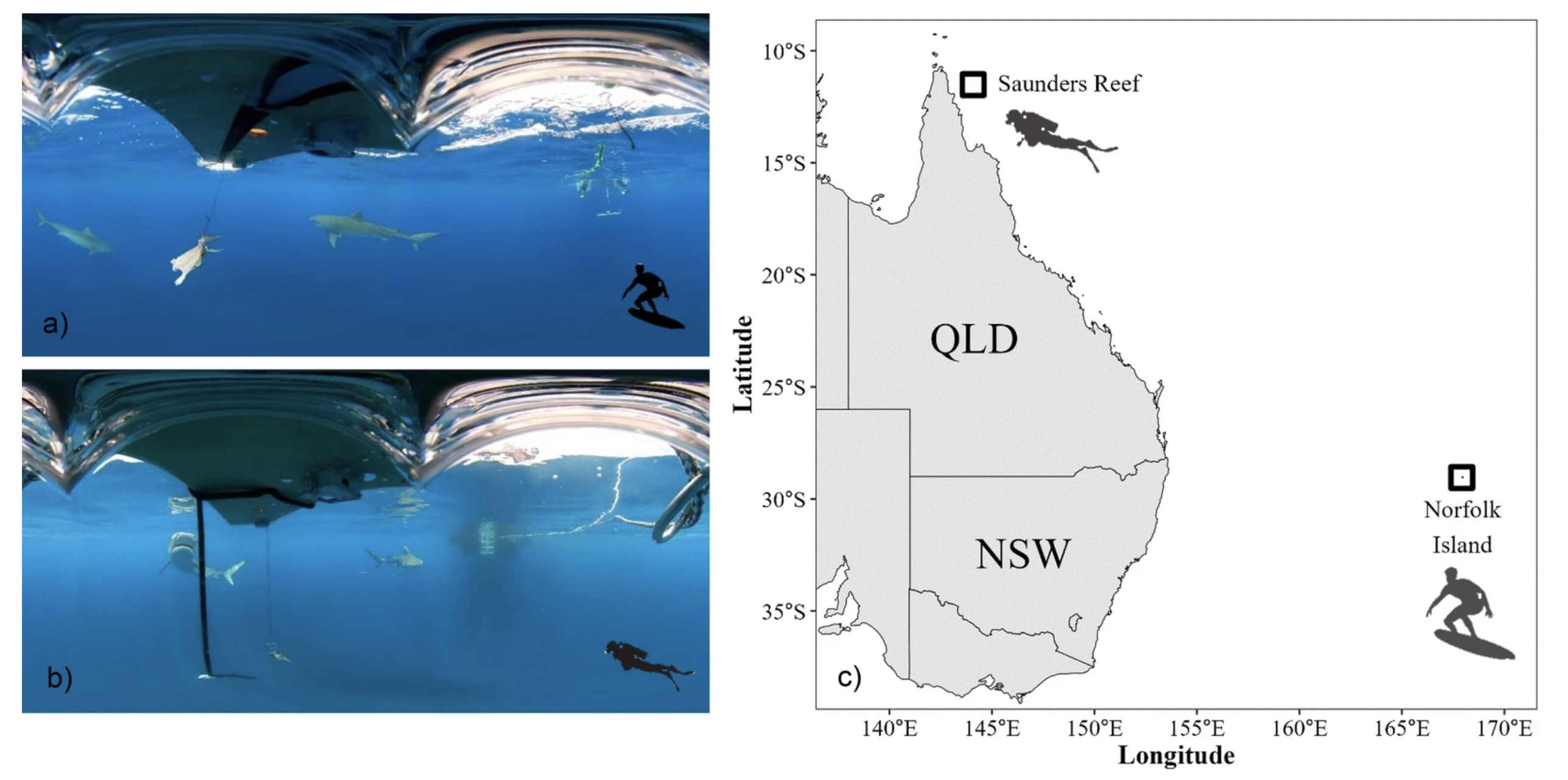 Do electric shark deterrents work? - by Kevin Okun