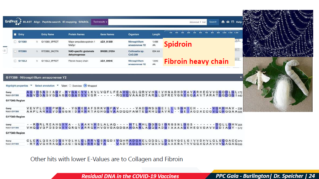Residual DNA fragments Analysis Detected In Monovalent And Bivalent ...