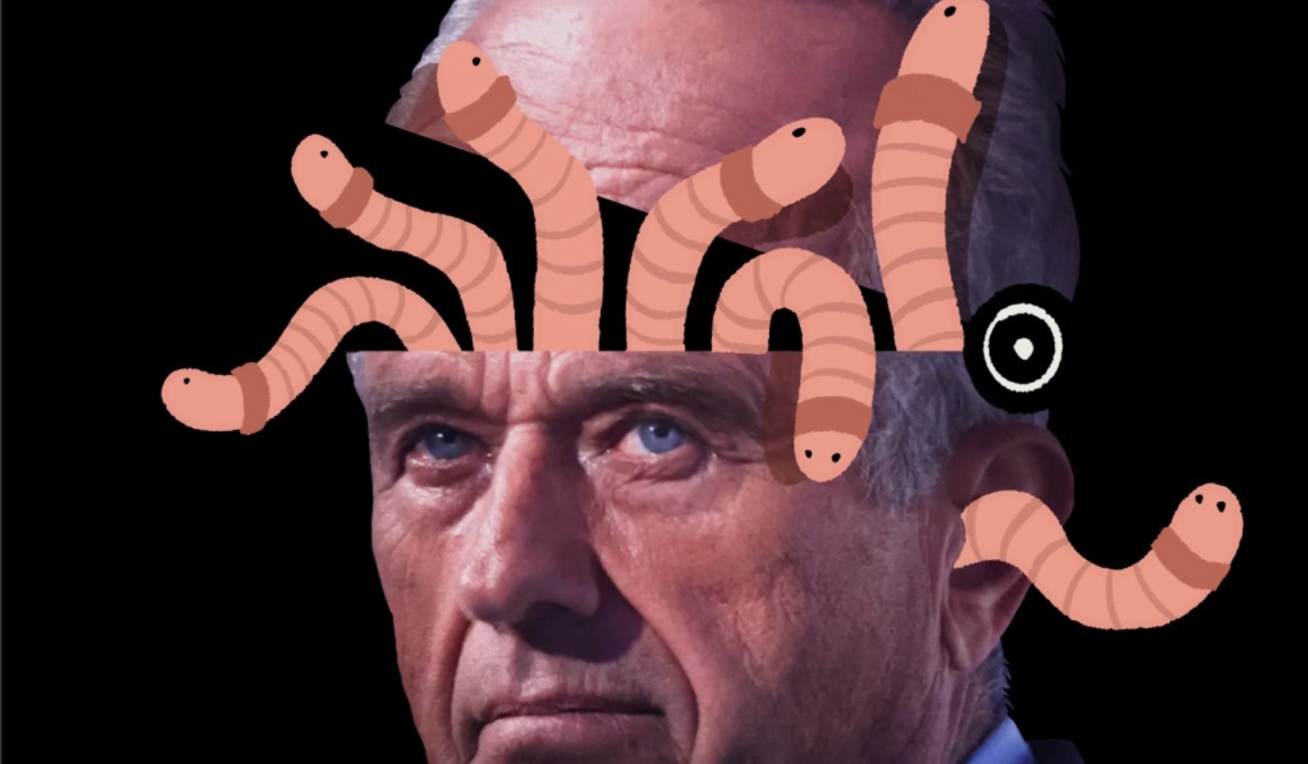 government of the brain worms, by the brain worms, and for the brain worms