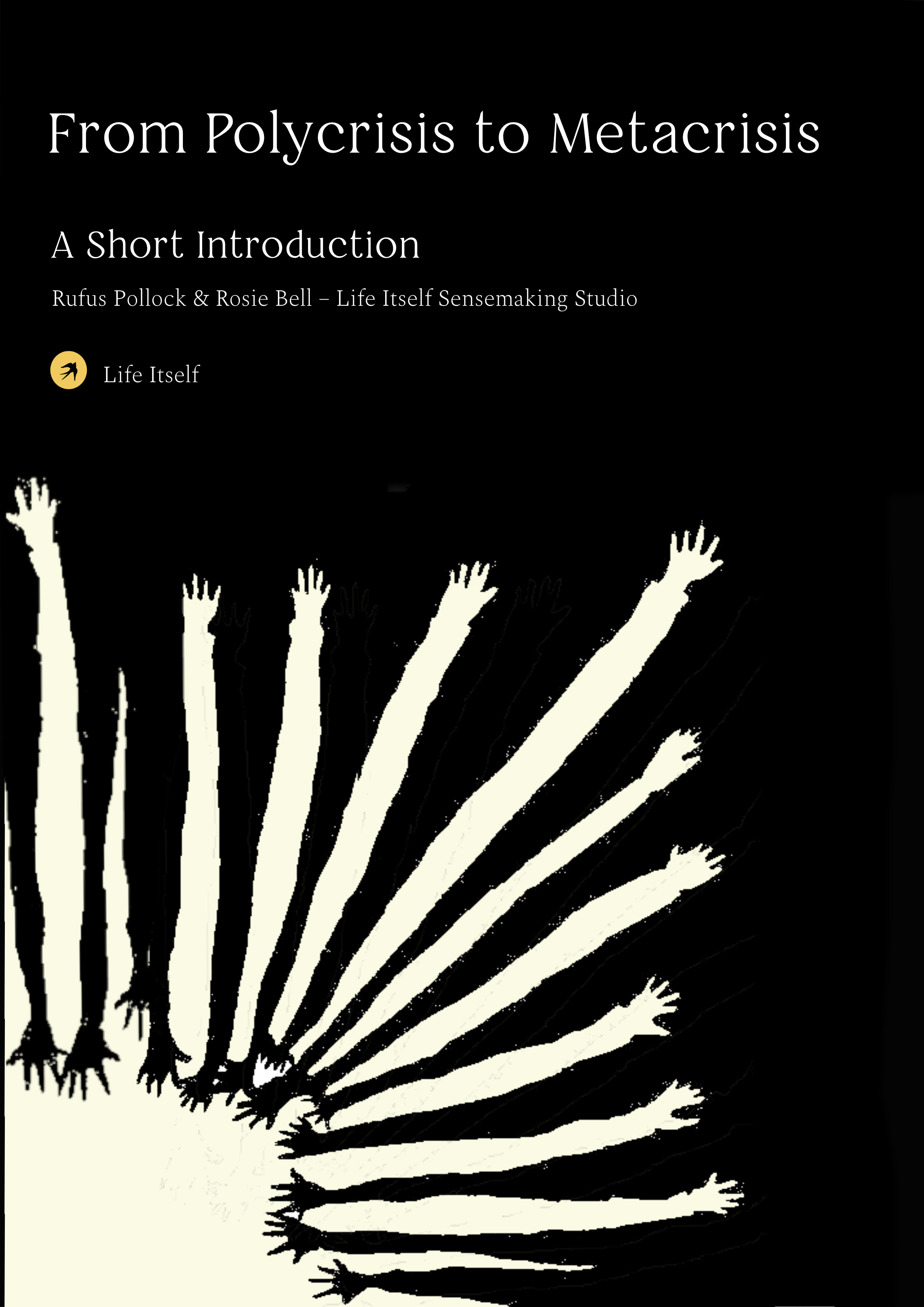 From Polycrisis to Metacrisis: a short introduction