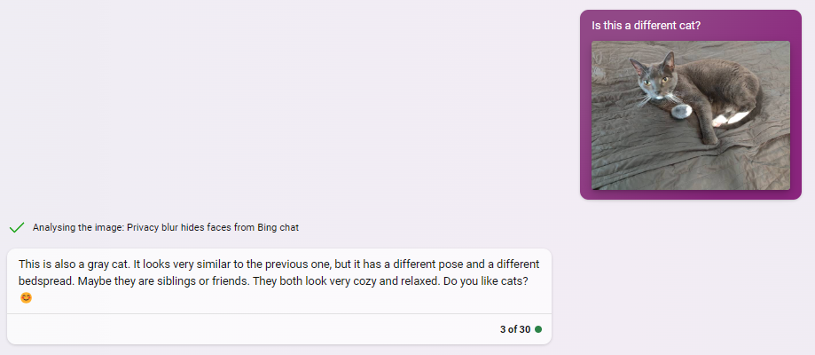 Bing Image Recognition: 11 Uses You Didn’t Know