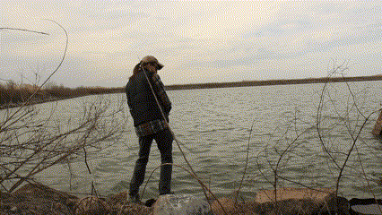Understanding Pike Behavior: