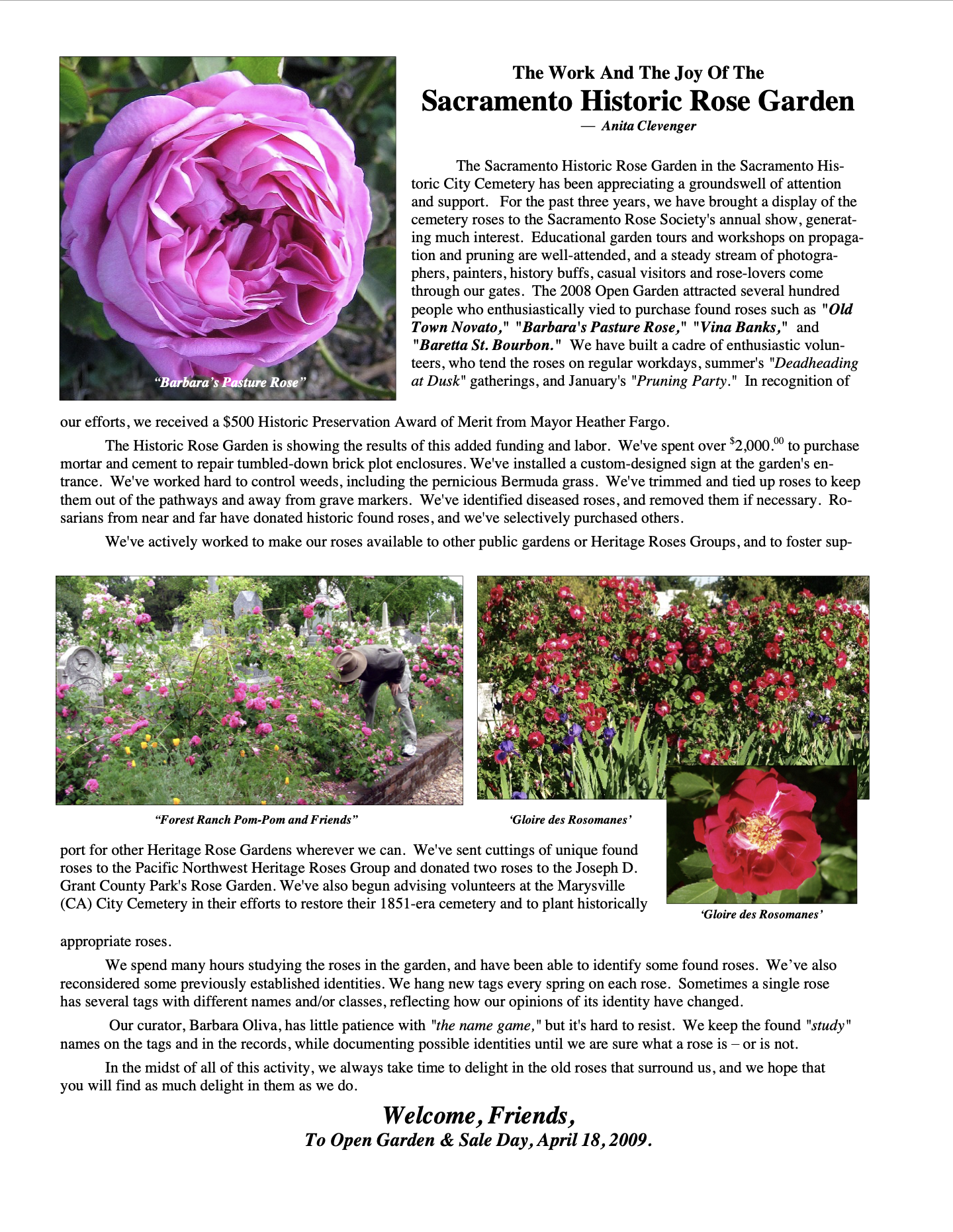 In Remembrance of Cemetery Roses: The Fight to Save Over 500 Historic ...