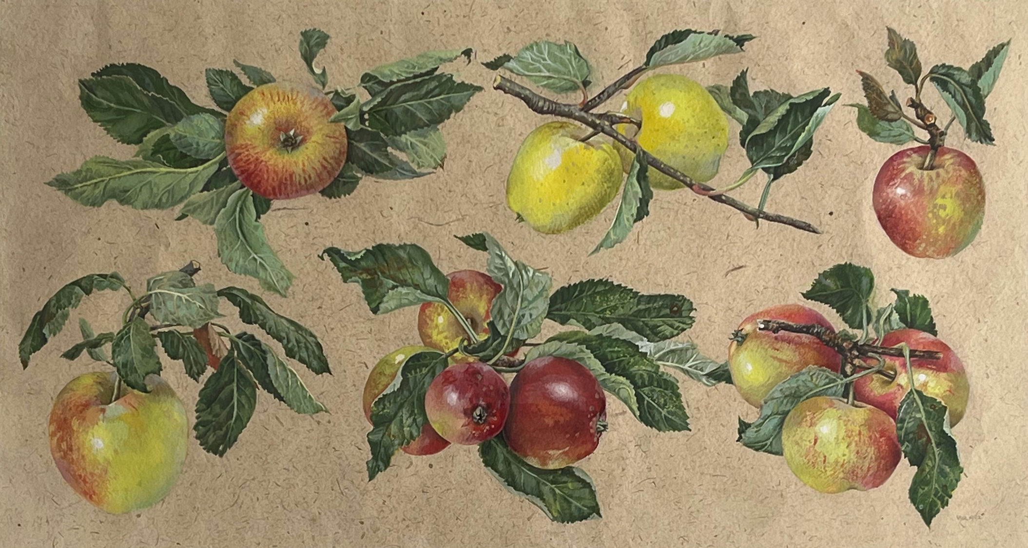 The Lost Orchard: Books on Apples - by Jesse 𓆸