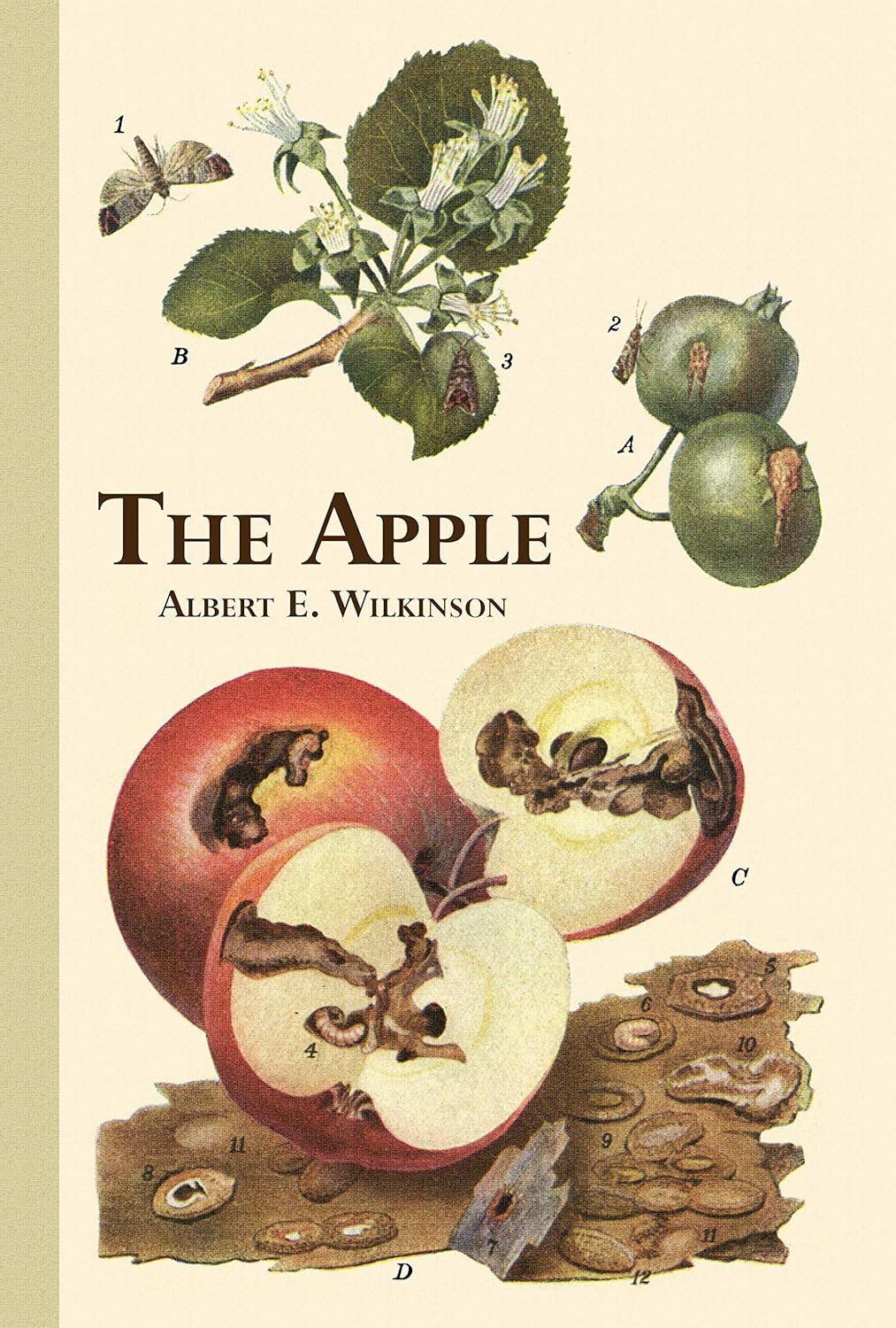 The Lost Orchard: Books on Apples - by Jesse 𓆸